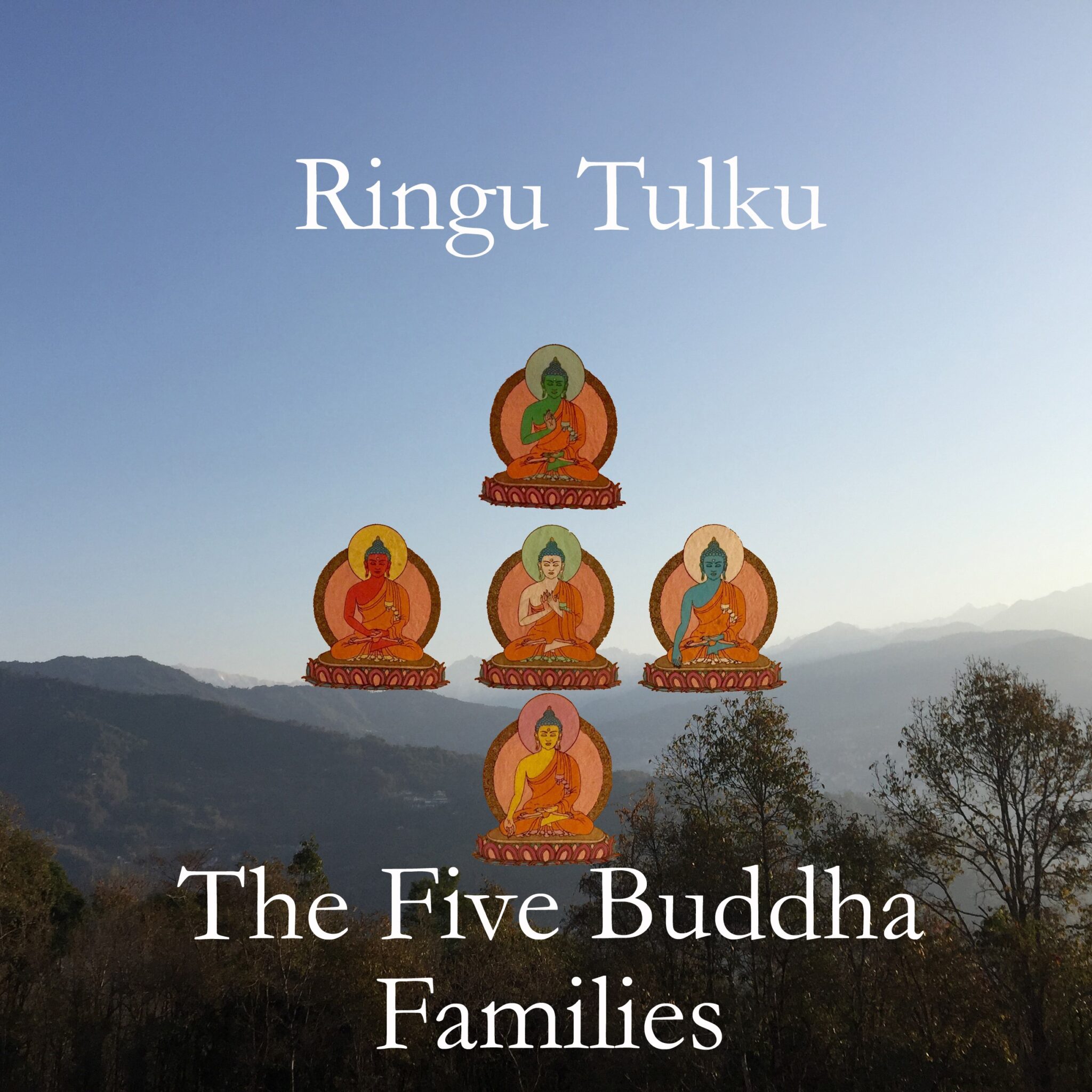 Welcome to the Ringu Tulku Teachings Archive.